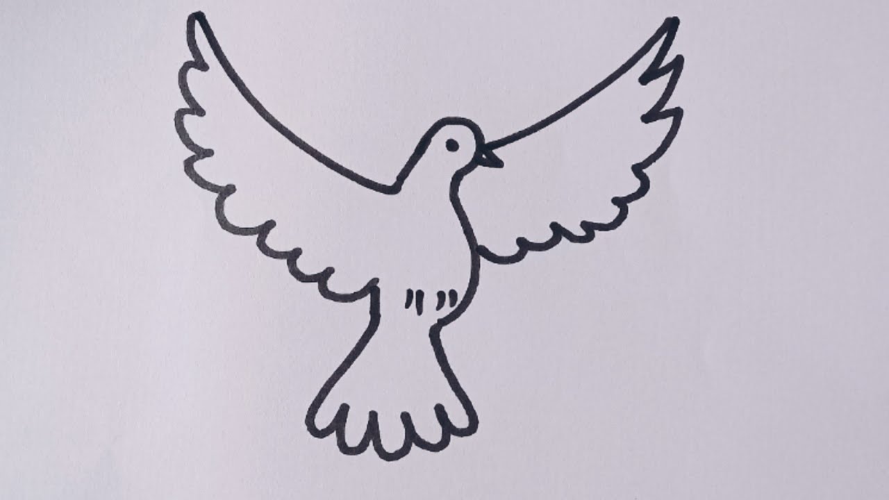 How To Draw Flying Pigeon Easy Step By Step YouTube how-to-draw-flying-pigeon-easy-step-by-step-youtube