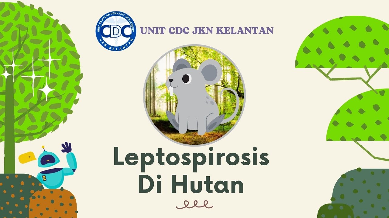 Penyakit Kencing Tikus (Leptospirosis) - Edisi HUTAN - YouTube