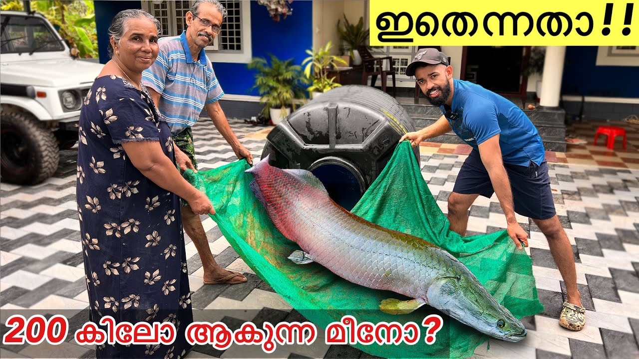“Surprise” ആയിട്ട് മേടിച്ച മീൻ TANK പൊളിച്ചു!! | GIANT fish destroyed ...