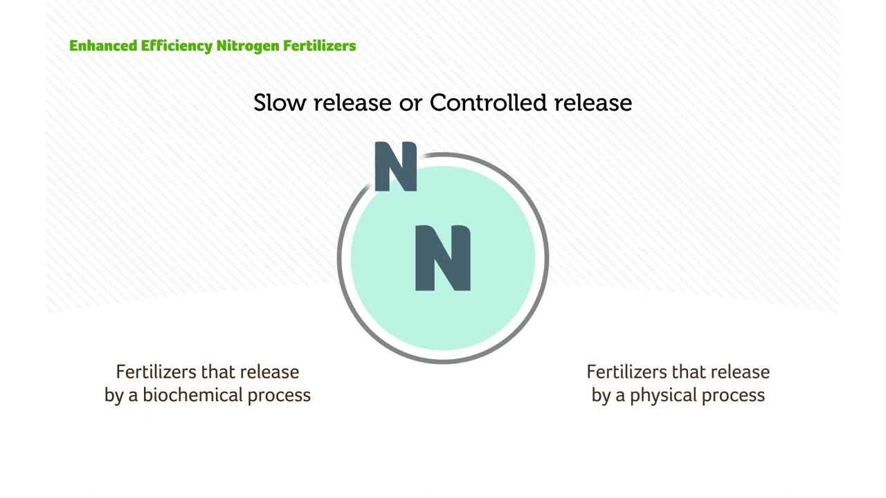 Defining and Understanding Enhanced Efficiency Fertilizers - YouTube
