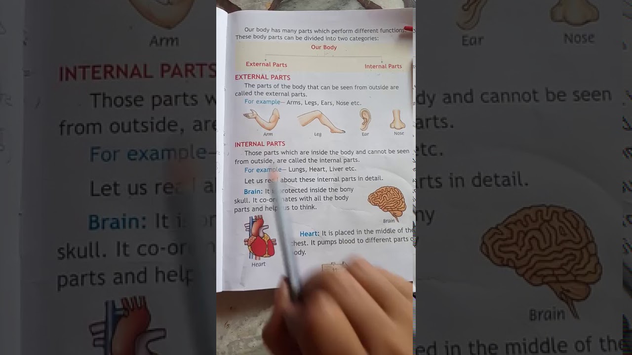 2Nd Class Evs Lesson 2 Part 2 1 YouTube 2nd-class-evs-lesson-2-part-2-1-youtube