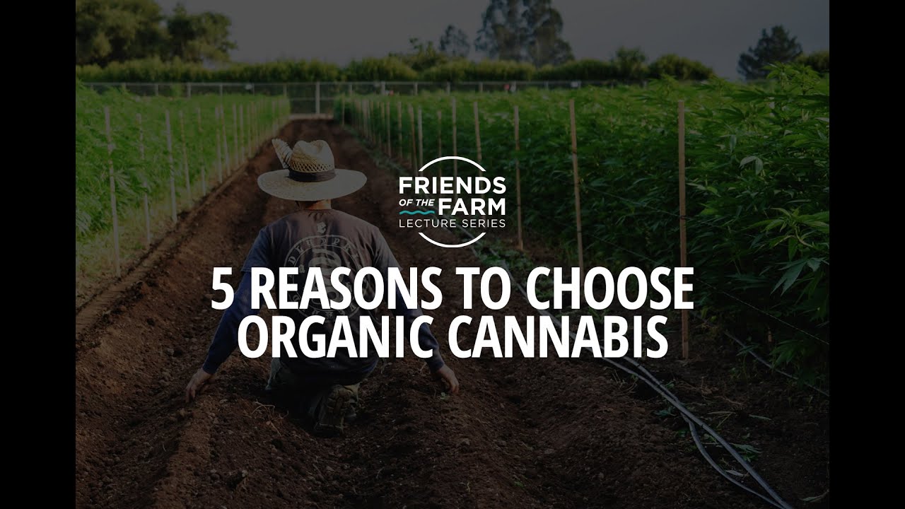 5 Reasons to Choose Organic Cannabis - YouTube
