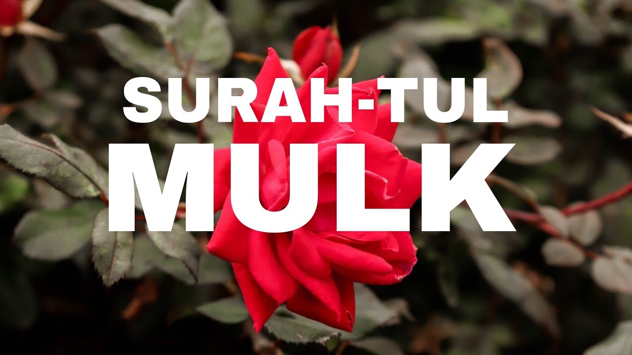 SURAH-TUL MULK - YouTube