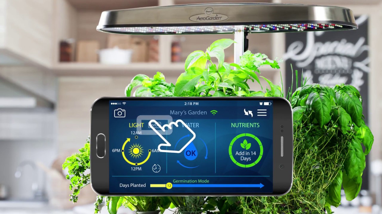Smart Countertop Garden - Bounty Wi-Fi Benefits - YouTube
