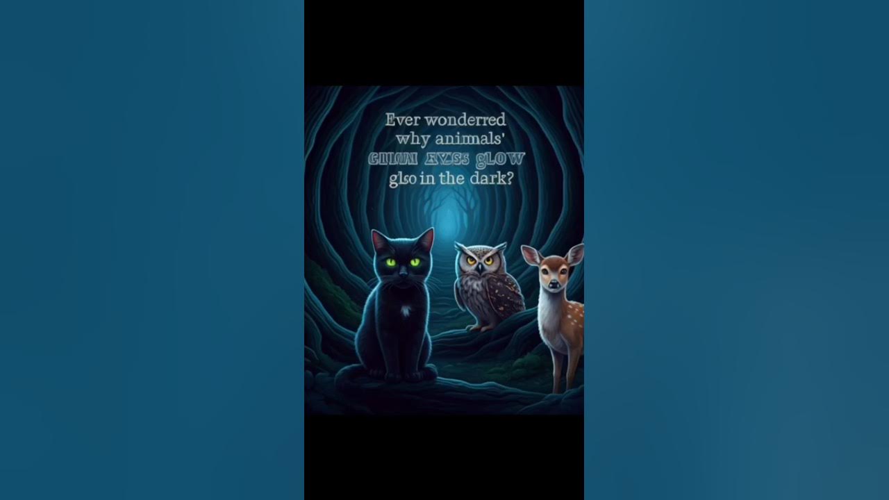 why-do-animals-eyes-glow-at-night-discover-the-mystery-animal