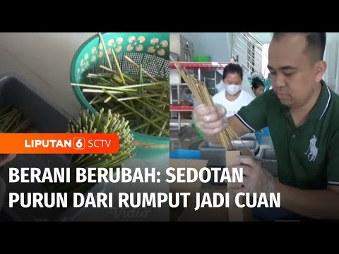 Berani Berubah: Sedotan Purun dari Rumput Jadi Cuan | Liputan 6 - YouTube