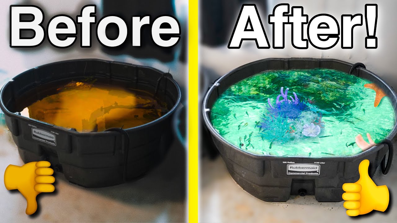 Upgrading the Fish Warehouse! (Finally) - YouTube