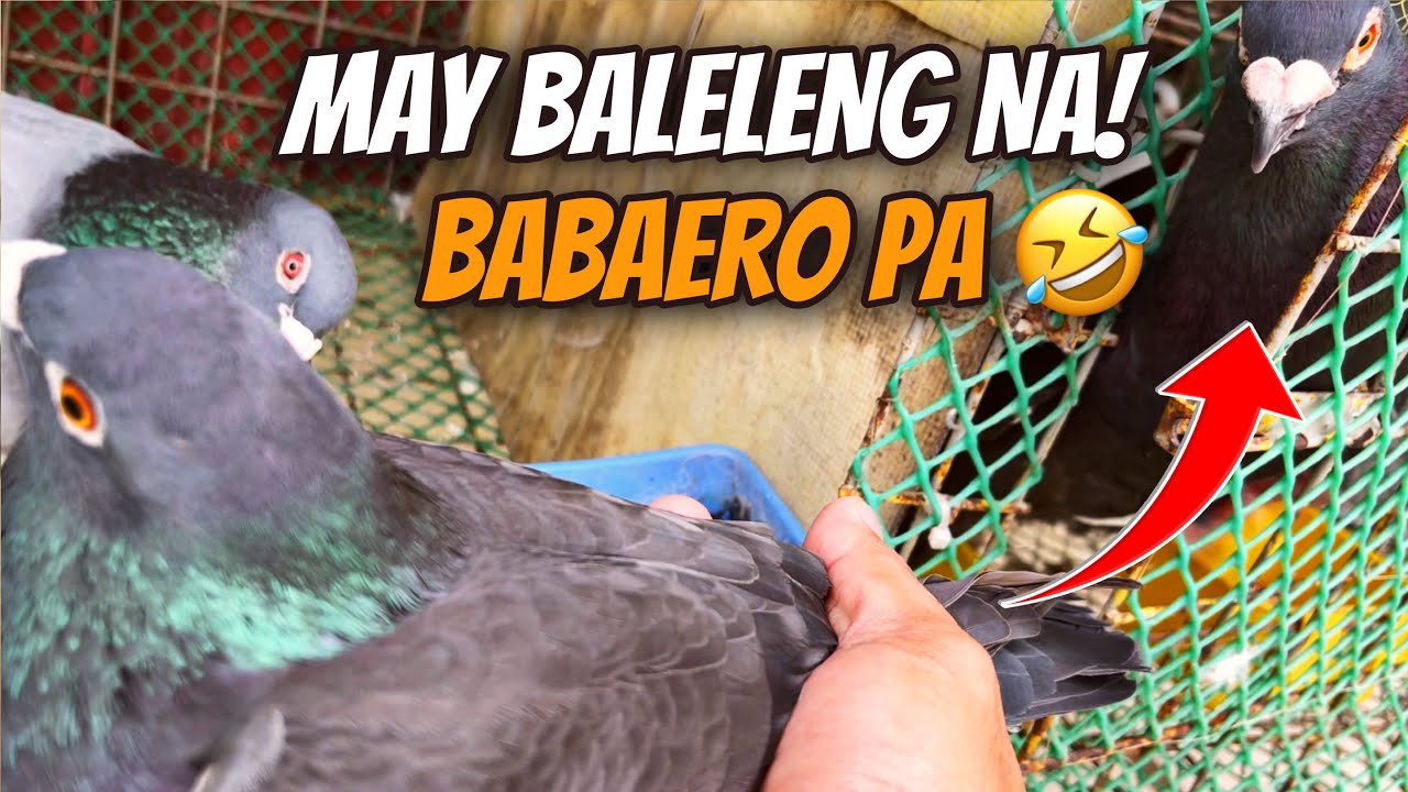 GAMOT SA BALELENG NA BINILI KO DI NAMAN PALA EPEKTIBO😅 BAGONG KALAPATI ...