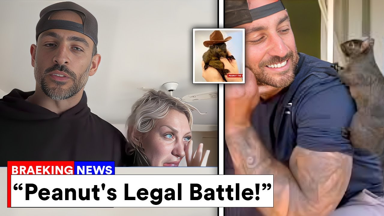 Owners of Peanut the Squirrel Take Legal Action Amid Viral Controversy ...