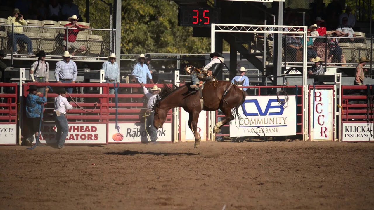 HM: Elizabeth Varin, Imperial Valley Press; Cattle Call Rodeo - YouTube