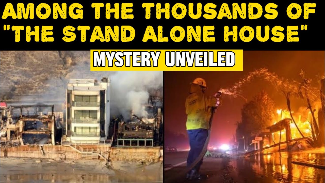 Miracle in the Ashes: How the David Steiner House Survived the Los ...