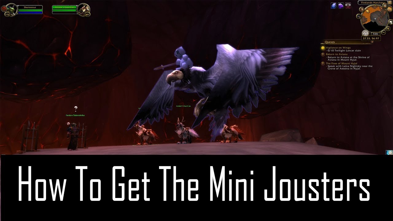 How To Get The Mini Jousters Battle Pets - YouTube