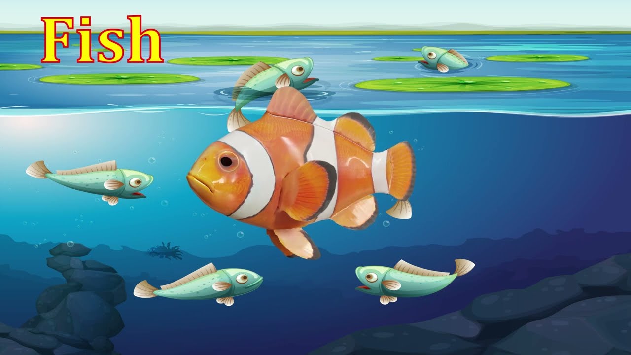 Our Animal ABC Friends || Animal Alphabet Adventures - YouTube