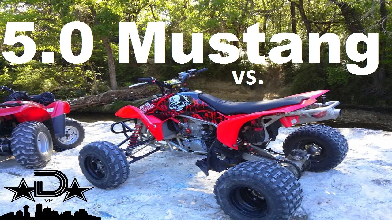 🏁5.0 Mustang vs. Honda 450r🏁 - YouTube