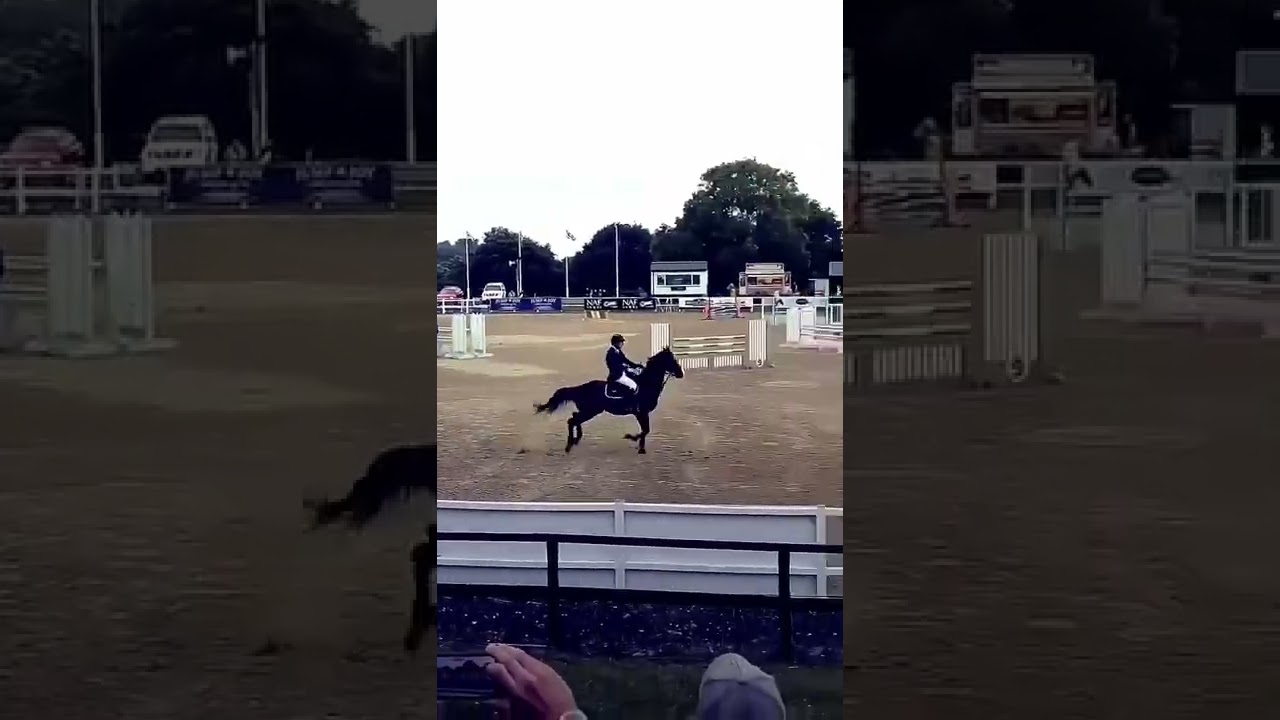 New ShowJumping Edit!!!!💯 - YouTube