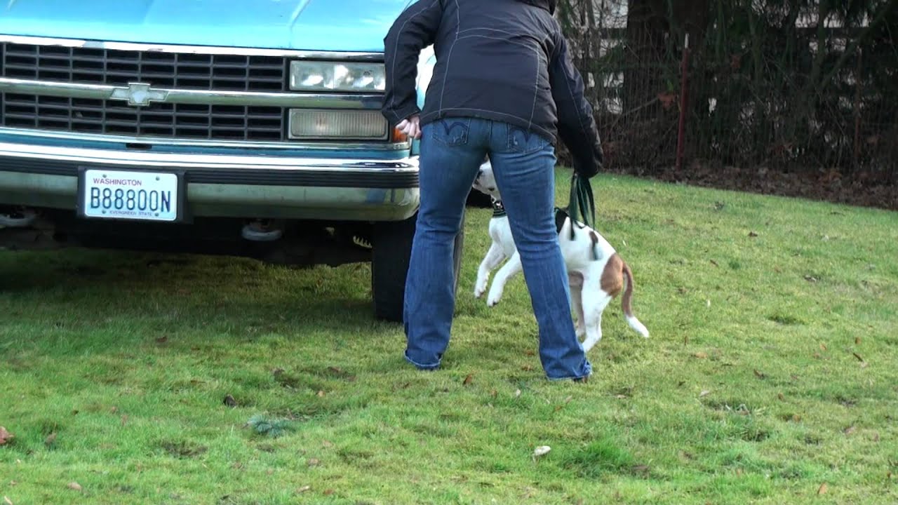 Kane Field Trip 12172011 Search 2 - YouTube