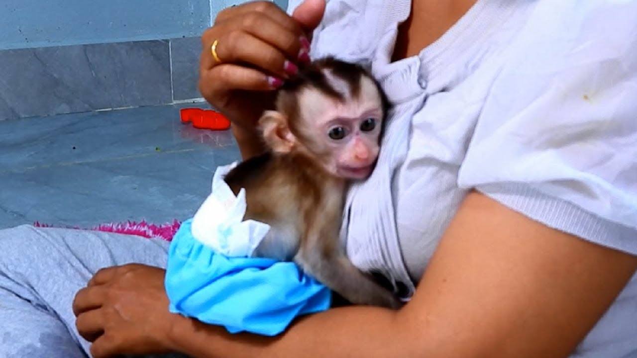 Baby Charly - Get warmth from mother - YouTube