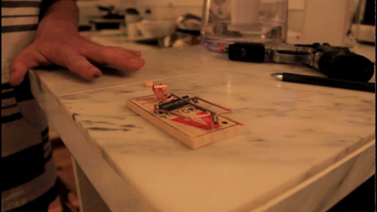 Kid Puts Hand in Mouse Trap - YouTube