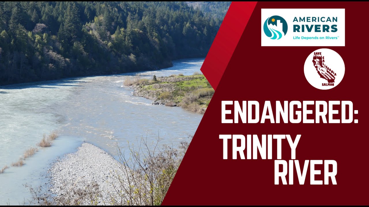 The Trinity River: #TheMostEndangered - YouTube