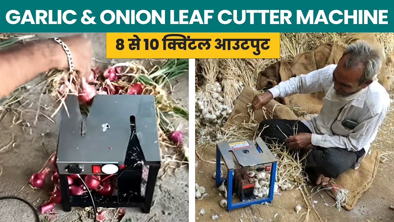 Garlic & Onion Leaf Cutter Machine | Onion Root Cutter Machine | Garlic ...