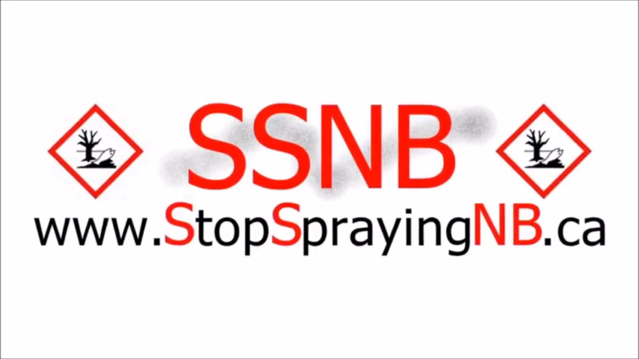 SSNB Intro Video (Français) - YouTube