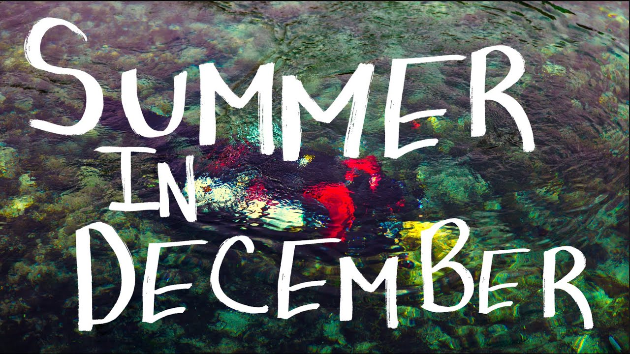 Summer in December | Cinematic | Nature #filmmaker #nature #springs ...