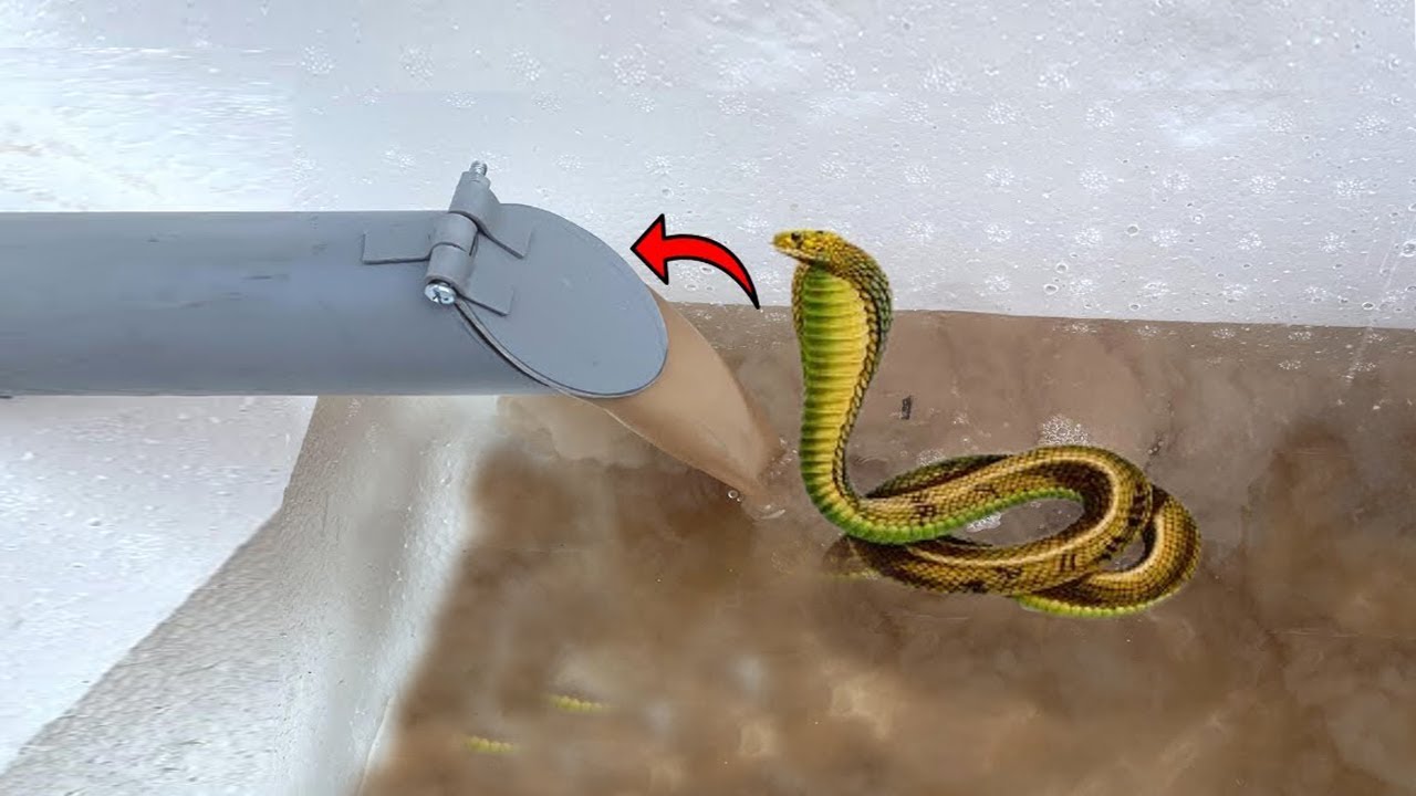 No One Knows This Crazy PVC Plumbing Hack! A Great Project to Prevent ...
