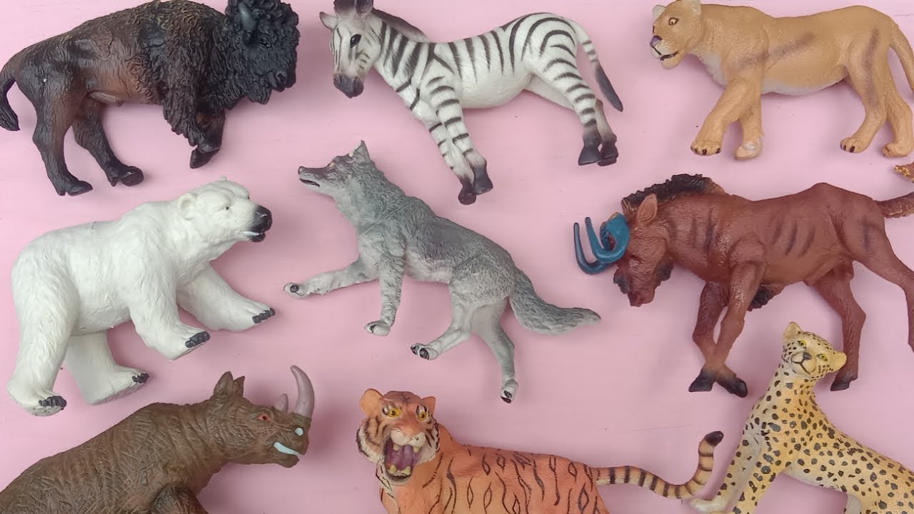 singa,zebra, bison, beruang kutub, serigala, wildebeest, badak, harimau ...