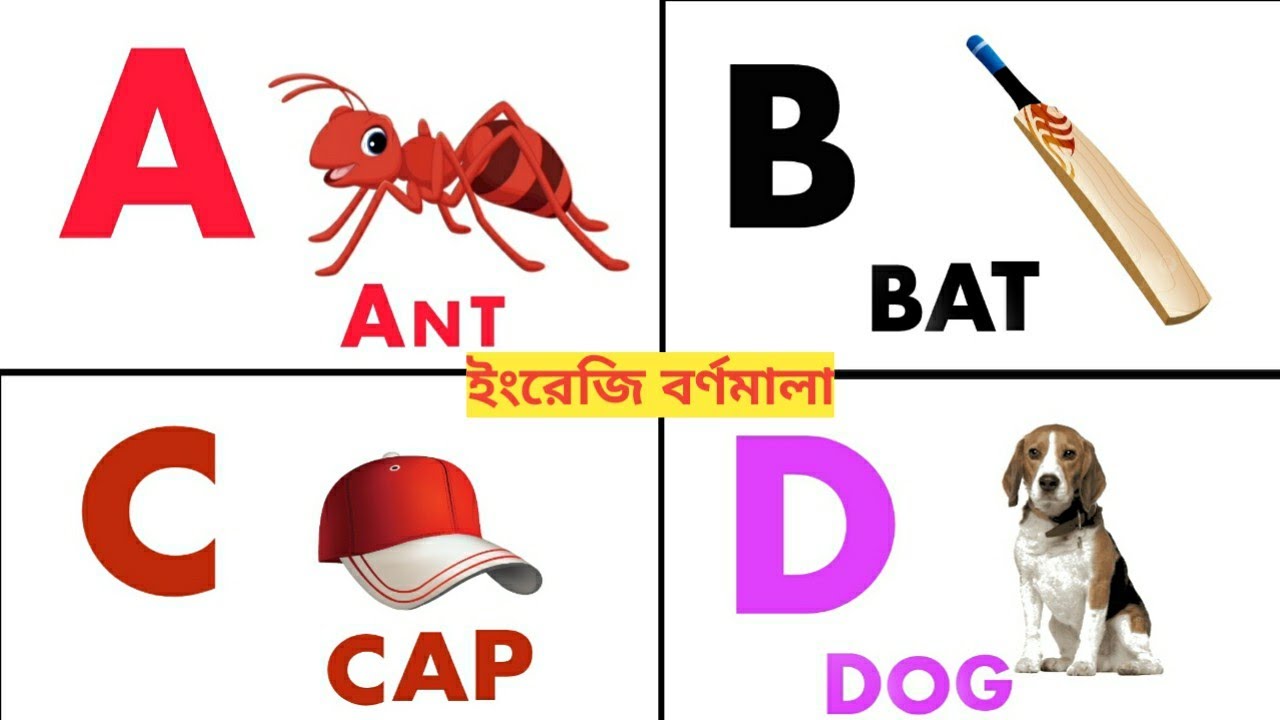 Learn Abcd alphabets || abcd || abcd for kids ll Alphabets learning ...