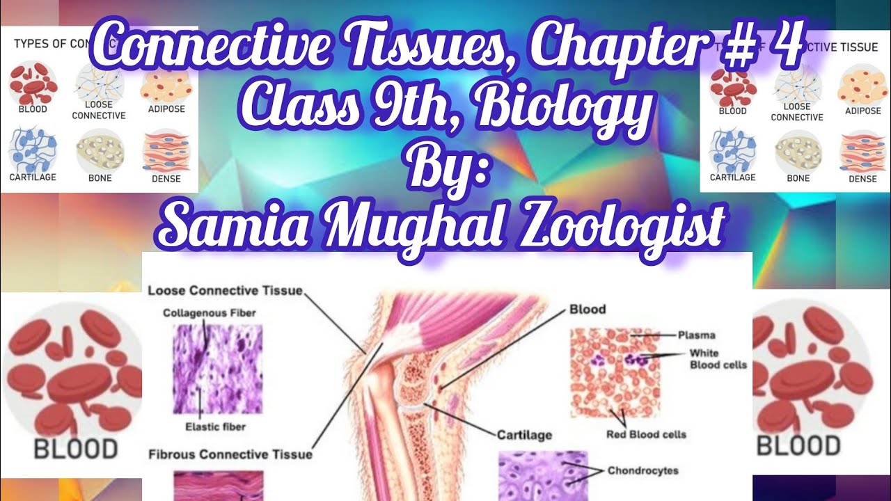 Connective Tissues || Chapter # 4 || Class 9th || Biology || Samia ...