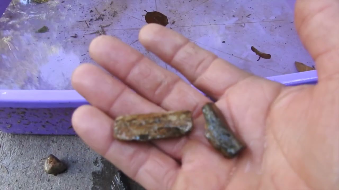 Part 32, petrified bone and a cool lesson. - YouTube