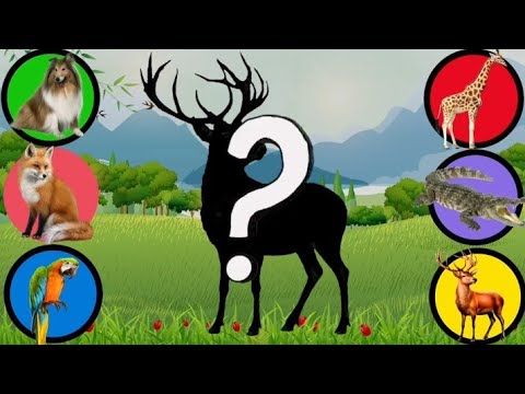 CUTE FARM ANIMALS Fox, Zebra, Rooster, Cat, Dog, Pig 여우,얼룩말,수탉,고양이,개,돼지 ...