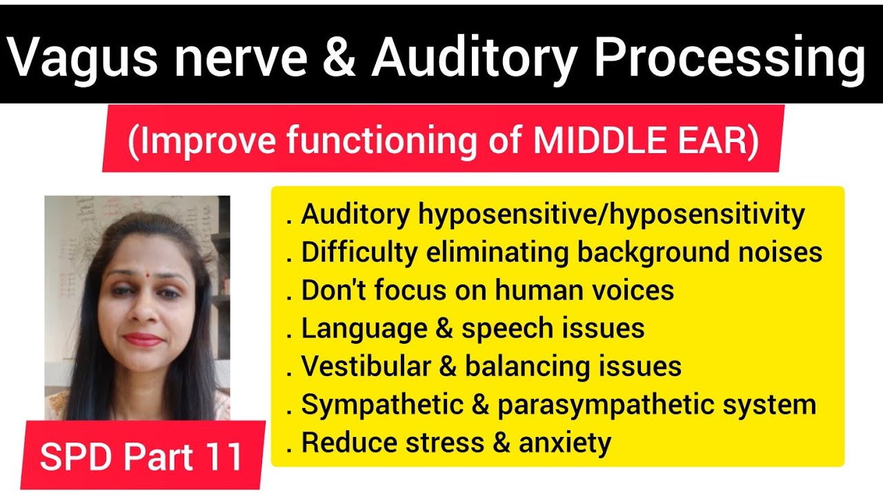 Vagus nerve & Auditory Processing/activate parasympathetic nervous ...