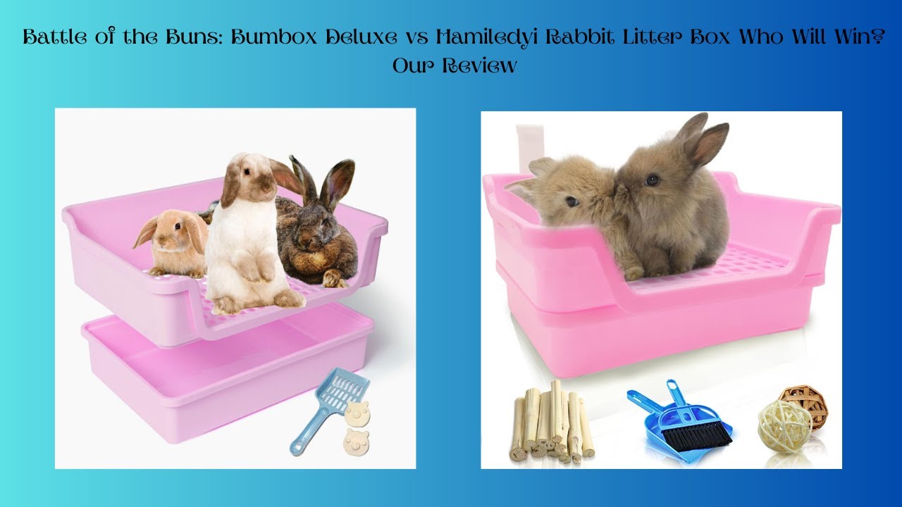 Battle of the Buns: Bumbox Deluxe vs Hamiledyi Rabbit Litter Box - YouTube