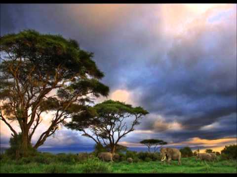 Savane - YouTube