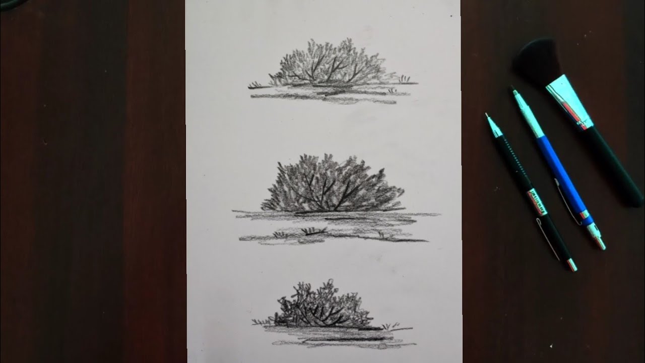 How to Draw Bushes with pencil//Easy pencil Drawing Tutorial ...