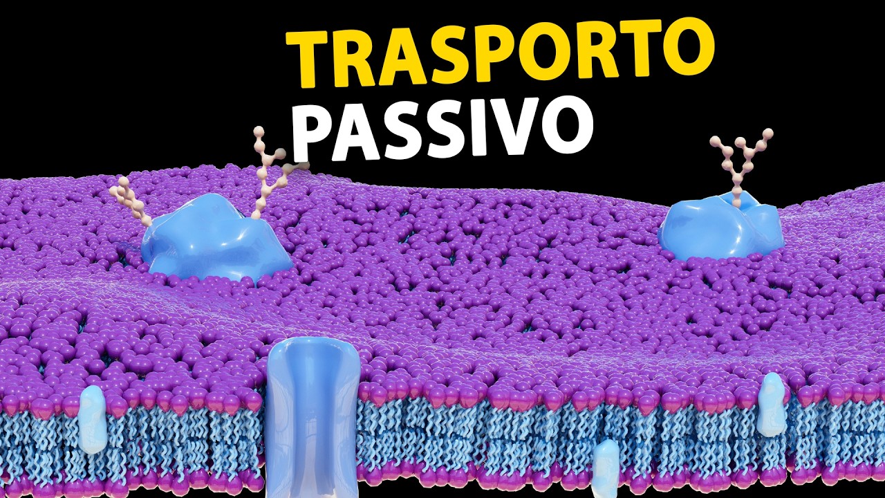 Trasporto passivo e osmosi: diffusione semplice e facilitata - YouTube