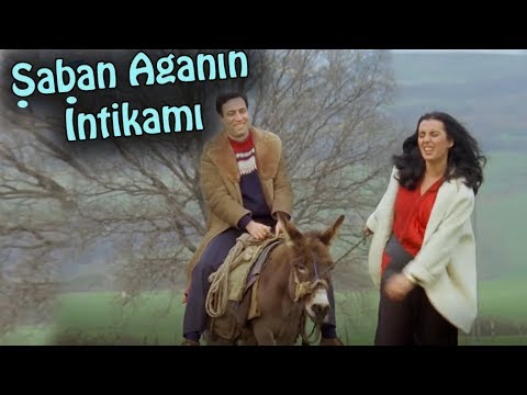 Sosyete Şaban - Şaban Ağanın İntikamı Kötü Oluyor!