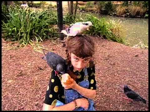 BIRDS Vs TAWAHINGA Vs NYMPHETS