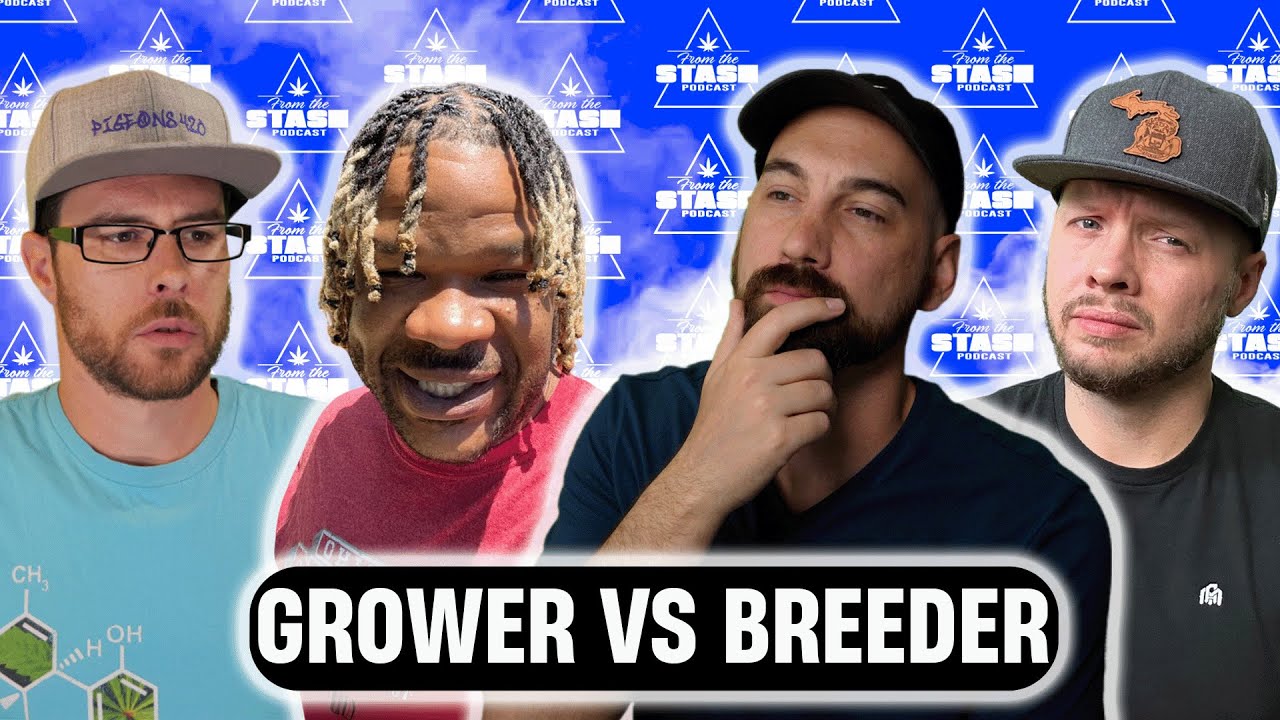 Herms: Bad Grower or Bad Breeder? - From The Stash Podcast Ep. 192 ...