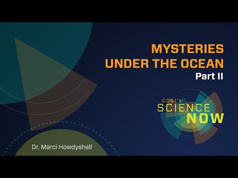 What's Under the Ocean Floor? Part 1 | Director of Science Content Dr ...