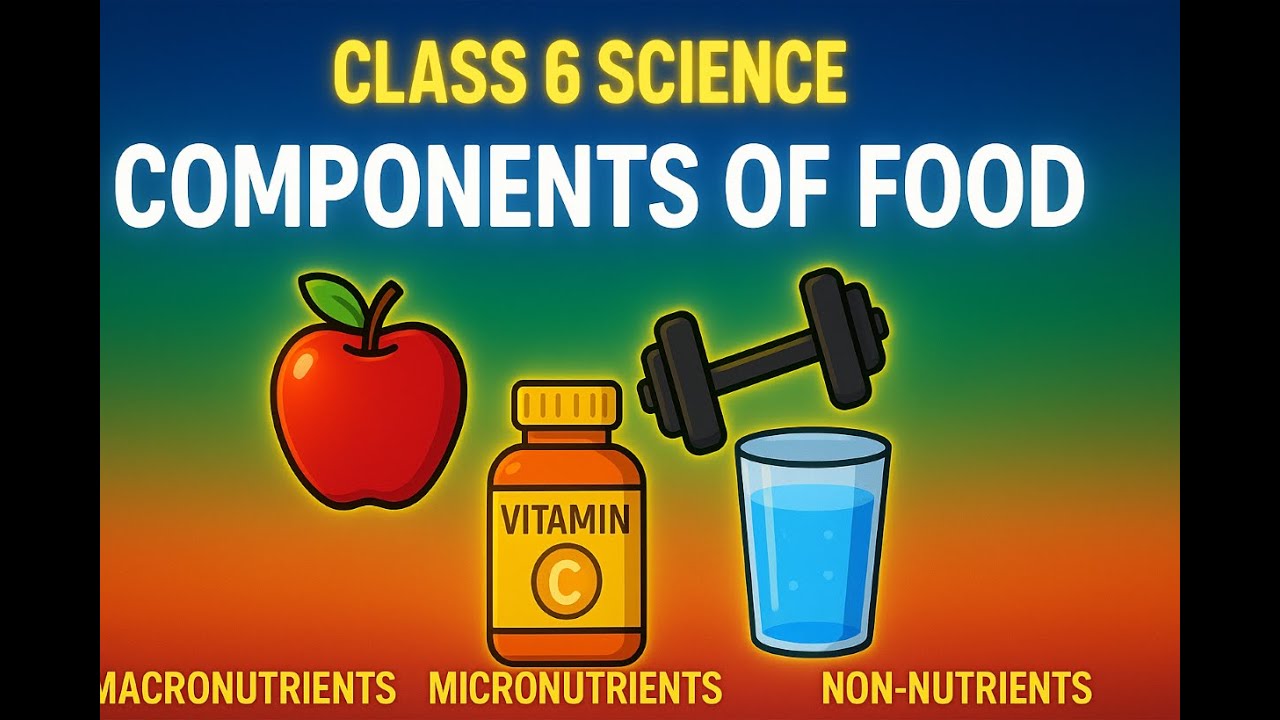 Components of Food | Class 6 Science | Macronutrients, Micronutrients ...