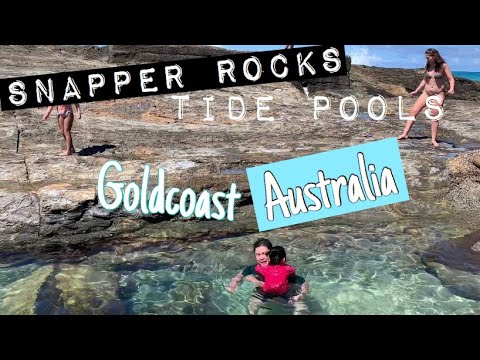 Autism & Tide Pools : Snapper Rocks, Goldcoast Australia - YouTube