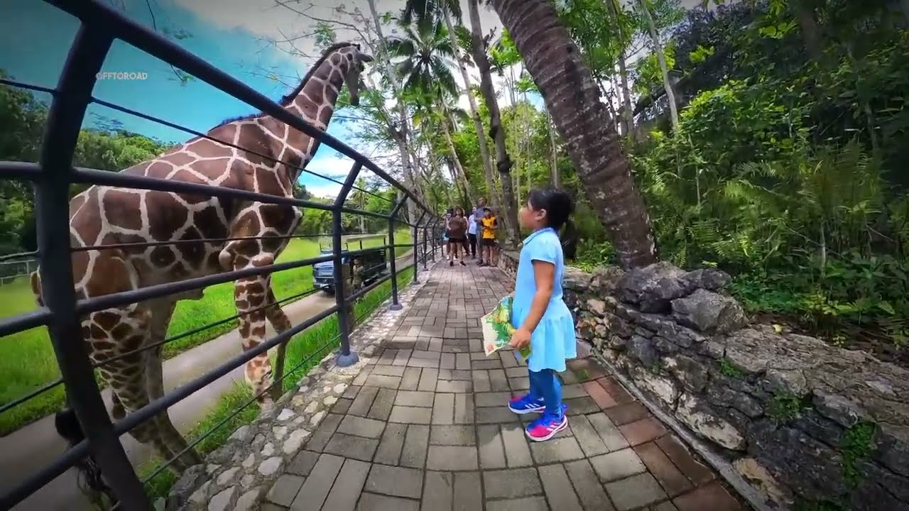 Experience Cebu Safari ADVETURE PARK by OFFTOROAD VLOG - YouTube