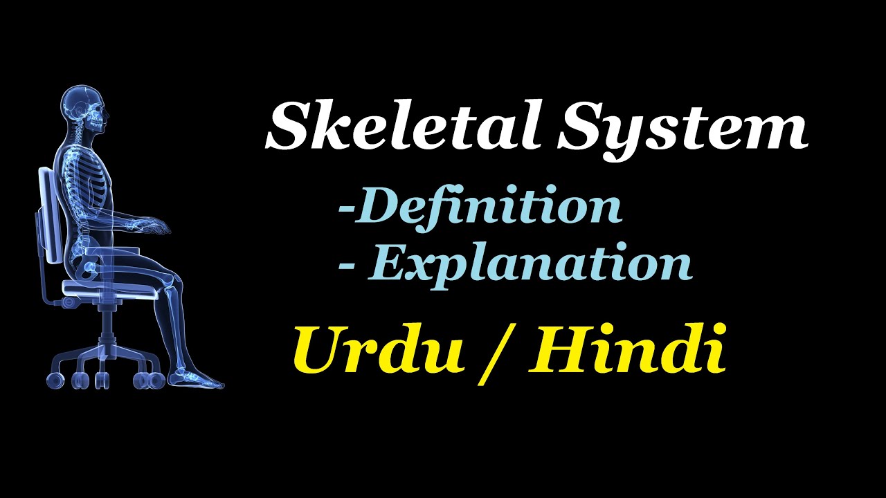 What Is Skeletal System Urdu Hindi YouTube what-is-skeletal-system-urdu-hindi-youtube