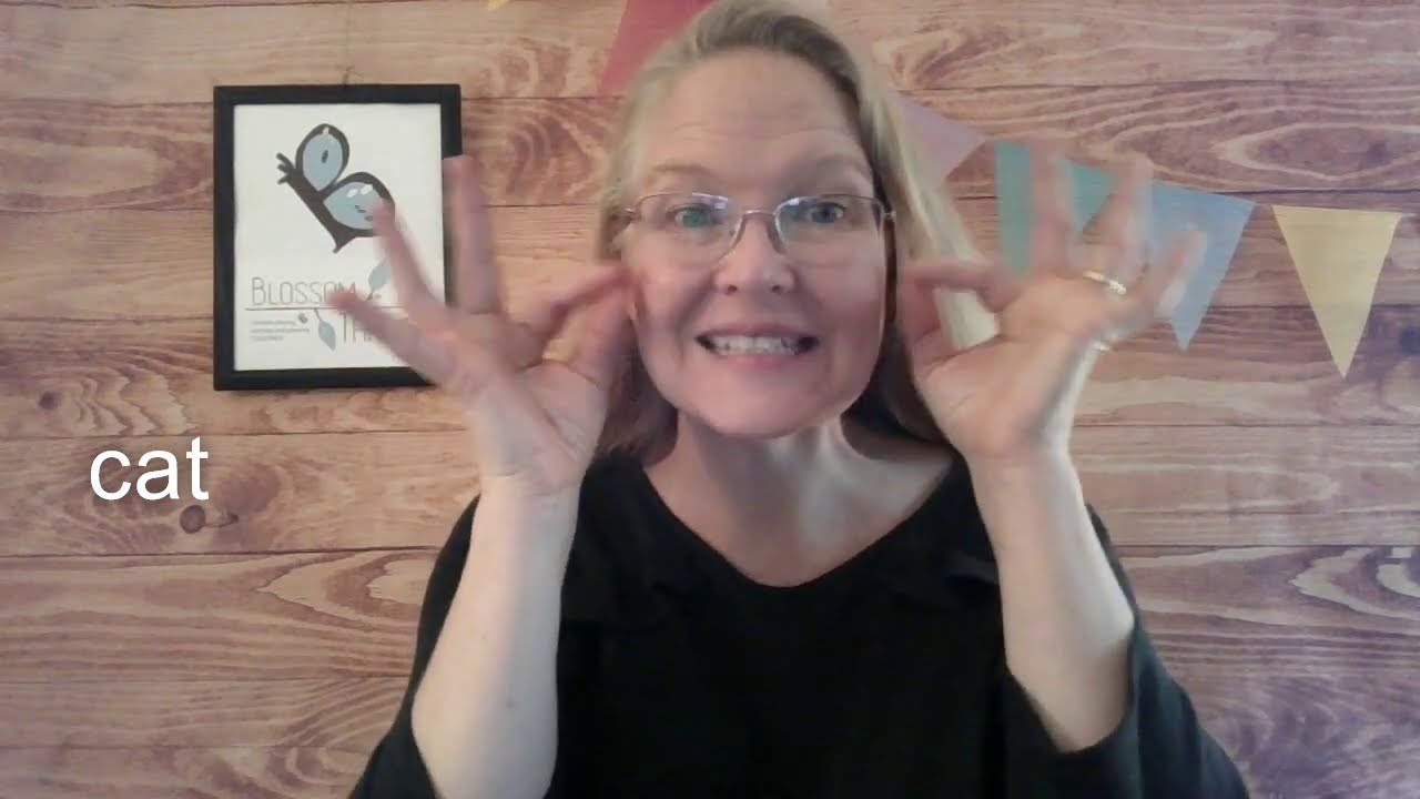 ASL Pets review - YouTube