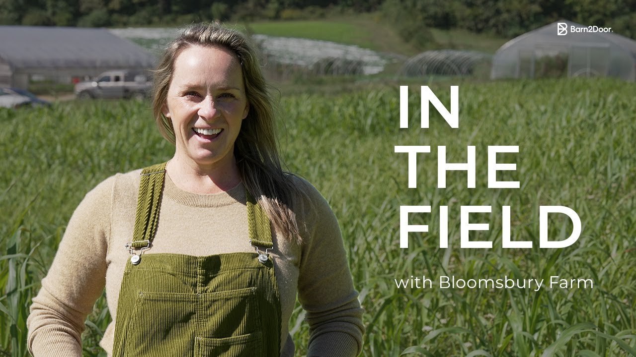 In the Field: Bloomsbury Farm - YouTube