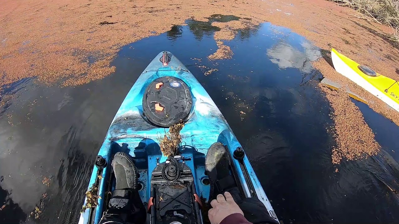 Paddle Up The Moke - YouTube