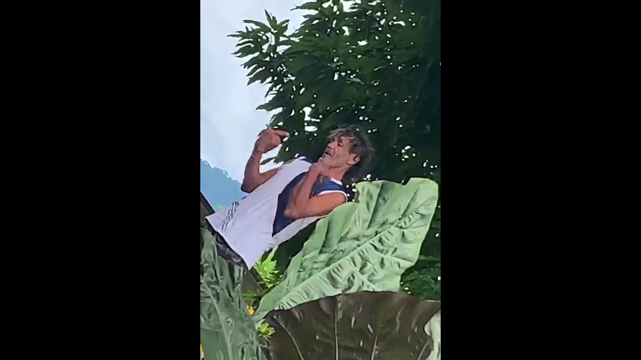 LA BEBESITA BEBE LIN (REMASTERED) - YouTube