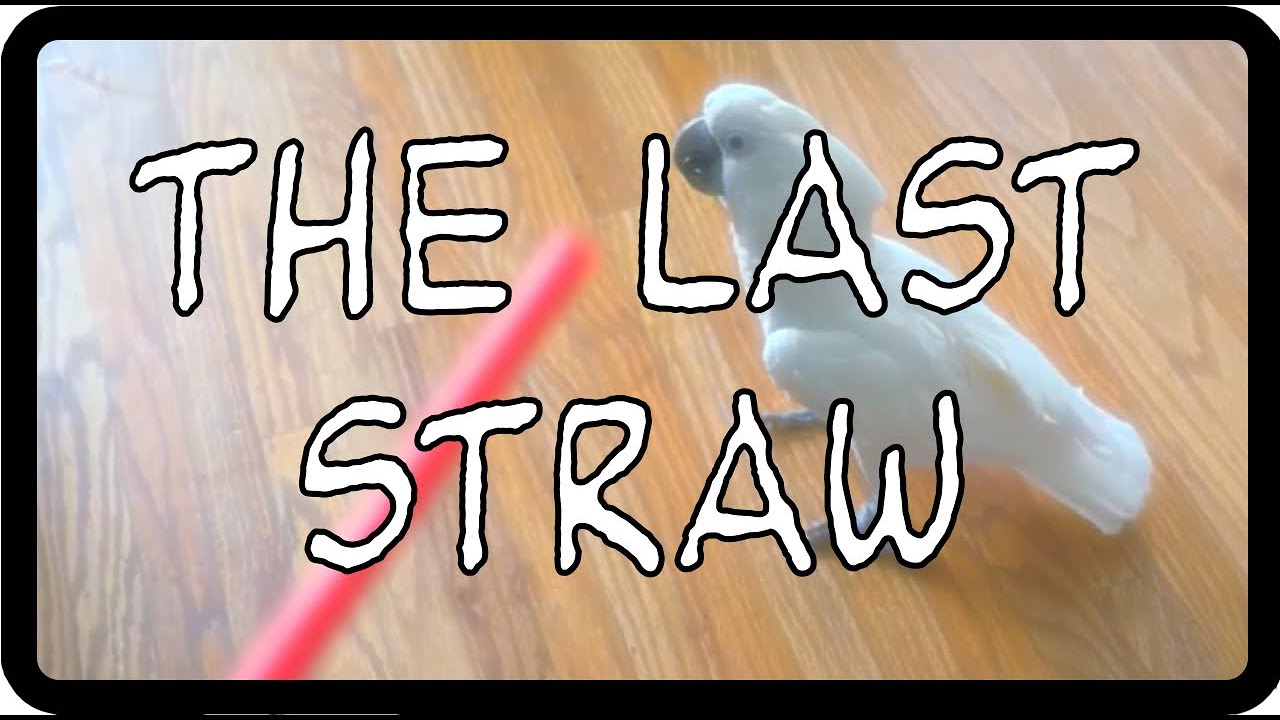 The Last Straw - YouTube